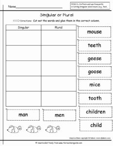 Irregular Plural Nouns Worksheet - Printable Coloring Free