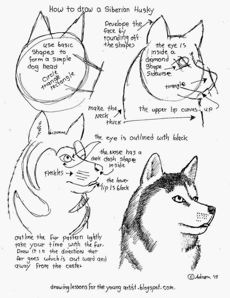 Drawing Printables - Printable Coloring Free