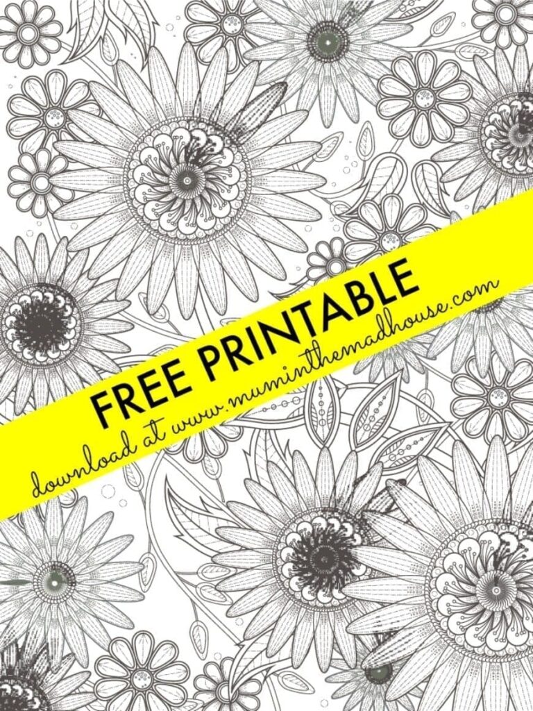 Sunflower Colouring - Printable Coloring Free